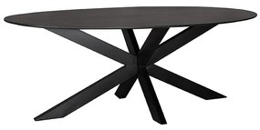 Jídelní stůl Zion - černé - mangové dřevo
