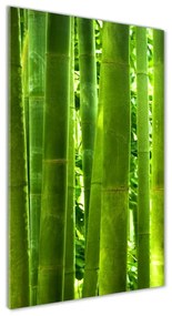 Wallmuralia Vertikální Moderní skleněný obraz z fotografie Bambus 50x100