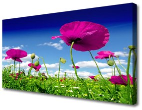 Obraz na plátně Louka Květiny Nebe Příroda 120x60 cm