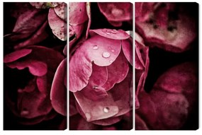 Vícedílný obraz Pivoňka Květiny Zblízka 3D Nedostatek Nedostatek Přírodní plátno 150x100