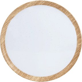 BRILAGI - LED Stropní svítidlo NATURA LED/12W/230V 4000K pr. 26,3 cm