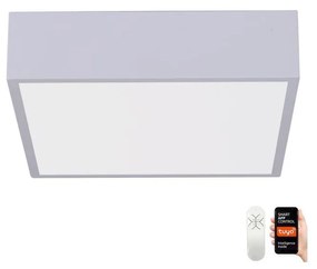 Immax Neo | Immax NEO 07238L - LED Stmívatelné stropní svítidlo CANTO 22W/230V bílá Tuya +DO | IM1243