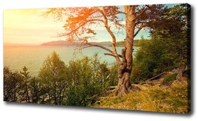 Wallmuralia Foto obraz na plátně Jezero Skandinávie 100x50