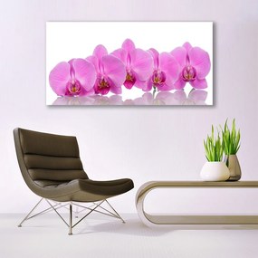 Plexisklo-obraz Růžová Orchidej Květiny 120x60 cm