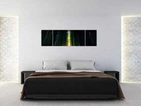 Obraz temného lesa (170x50 cm)