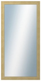 DANTIK - Zarámované zrcadlo - rozměr s rámem cca 50x100 cm z lišty ANDRÉ velká starostříbrná (3156)