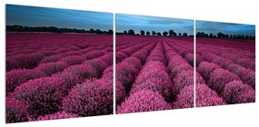 Obraz květinového pole (150x50 cm)