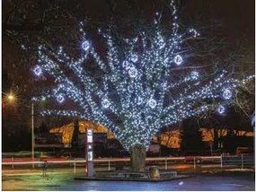DecoLight SM-080003 3D LED koule průměr 40cm PROFI studená bílá