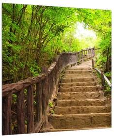 Letní obraz schodů v přírodě (40x40 cm)
