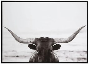 Obraz černo-bílá fotografie Bull - 104*144*4,3 cm