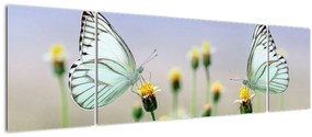 Obraz motýlů na květině (170x50 cm)