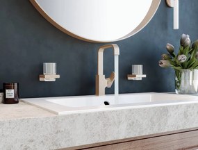 Hansgrohe AddStoris, nádobka na ústní hygienu, kartáčovaný bronz, HAN-41749140