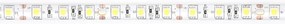 ECOLIGHT LED pásek - 5050 - 12V - 5m - 72W - 300 diod - IP63 - neutrální bílá