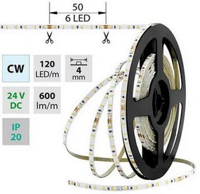 LED pásek McLED 24V studená bílá š=4mm IP20 7,2W/m 120LED/m SMD2216 ML-126.732.60.0