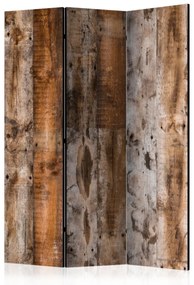 Paraván - Antique Wood [Room Dividers]