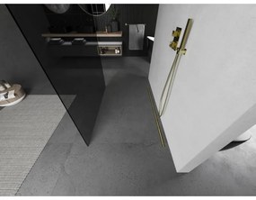 Mexen Kioto, sprchová zástěna Walk-In 120 x 200 cm, 8mm šedé sklo, zlatý matný profil, 800-120-002-55-40