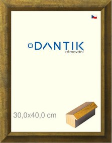 DANTIK rámeček 30x40 | Forgia Gold (Plexi Čiré)