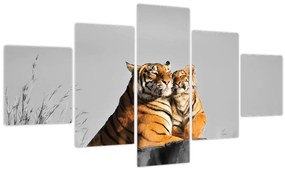 Obraz - Tygřice a její mládě, černobílá varianta (125x70 cm)