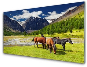 Obraz na skle Hory Stromy Koně Zvířata 140x70 cm