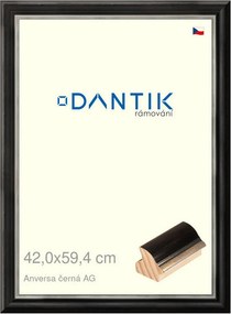 DANTIK rámeček 42x59,4 | ANIVERSA černá AG (Plexi Čiré)