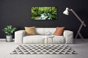 Obraz na plátně Les Potok Vodopády Řeka 125x50 cm