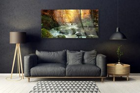 Plexisklo-obraz Vodopád Příroda Les Podzim 120x60 cm