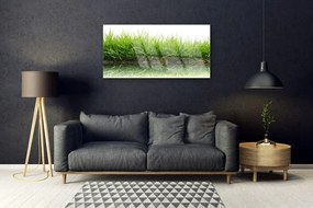 Obraz na skle Tráva Voda Příroda Rostlina 100x50 cm