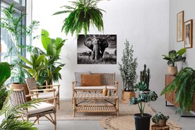 Zahradní konferenční stolek ratifa 96 x 56 cm přírodní MUZZA
