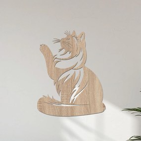 dřevo života Dřevěný obraz Ragdoll Zvolte rozměr (cm): 48x60, Zvolte barvu dekoru: Dub Sonoma