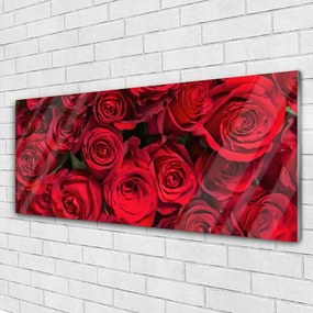 Plexisklo-obraz Červené Růže Květiny Příroda 125x50 cm