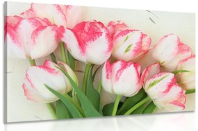Obraz jarní tulipány Varianta: 90x60