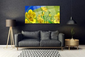 akrylový obraz Louka Květiny Duha Příroda 120x60 cm