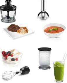BOSCH MSM2650B CleverMixx černá / Tyčový mixér / 600W