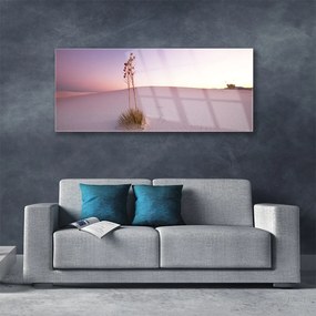 akrylový obraz Poušť Písek Krajina 125x50 cm