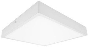 Palnas Stropní/nástěnné LED svítidlo EGON š. 22 cm Barva: Bílá, 3000K
