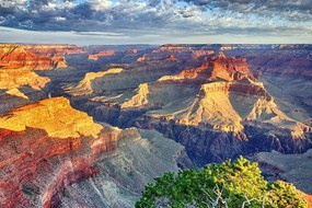 DIMEX | Samolepicí vliesová fototapeta na zeď Scénerie Grand Canyonu MA-5-1648 | 375 x 250 cm | zelená, modrá, žlutá, šedá