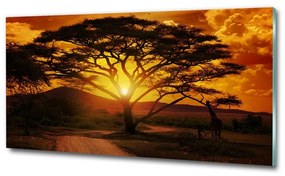 Wallmuralia Foto obraz fotografie na skle Západ Afrika 100x50