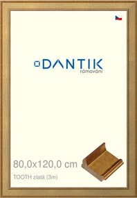 DANTIK rámeček 80x120 | TOOTH zlatá (Plexi Čiré)
