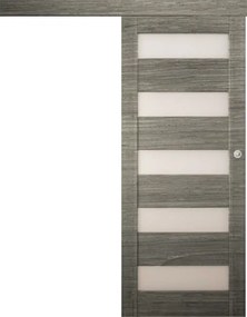 posuvné interiérové dveře na stěnu vasco doors SANTIAGO model 7 Průchozí rozměr: 70 x 197 cm, Orientace dveří: Levé dveře, Dekor: Dub stříbrný