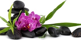 Obraz fialová orchidej v Zen zátiší Varianta: 120x60