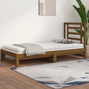 vidaXL Výsuvná postel 2x (90 x 200) cm masivní borovice [3108605] Barva: medová hnědá