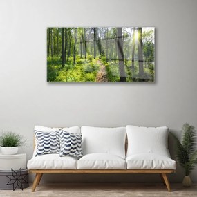 Plexisklo-obraz Les Stezka Cestička Příroda 100x50 cm