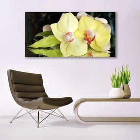 Plexisklo-obraz Okvětní Plátky Orchidej 120x60 cm