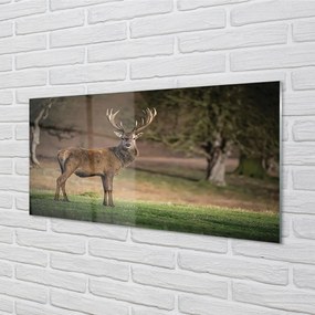 akrylový obraz Jelen v poli 125x50 cm