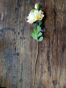 Hitra Květina PIVOŇKA žlutá 70cm