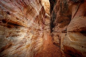 Fototapeta cestička Grand Canyonem - 225x150 cm