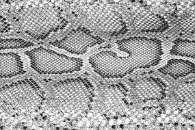 DIMEX | Samolepicí vliesová fototapeta na zeď Textura krokodýlí kůže MA-5-2585 | 375 x 250 cm | bílá, černá