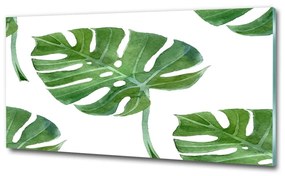 Wallmuralia Fotoobraz na skle Monstera 100x50