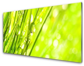 Obraz na skle Příroda Kapky Tráva 120x60 cm