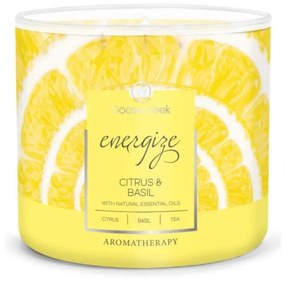 Vonná svíčka AROMATHERAPY CITRUS & BASIL 410g